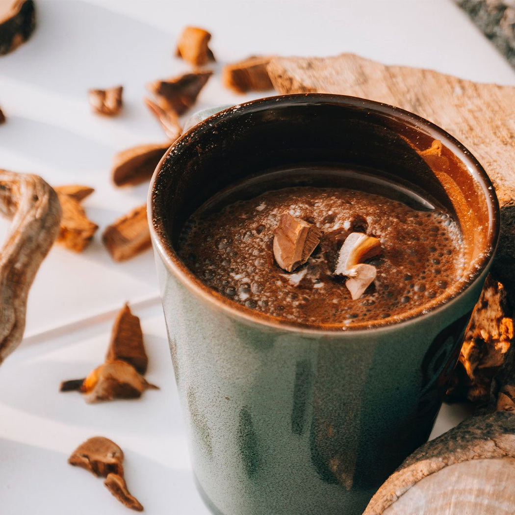 The Power of Adaptogenic Mushrooms and Mushroom Tea – Firebelly Tea